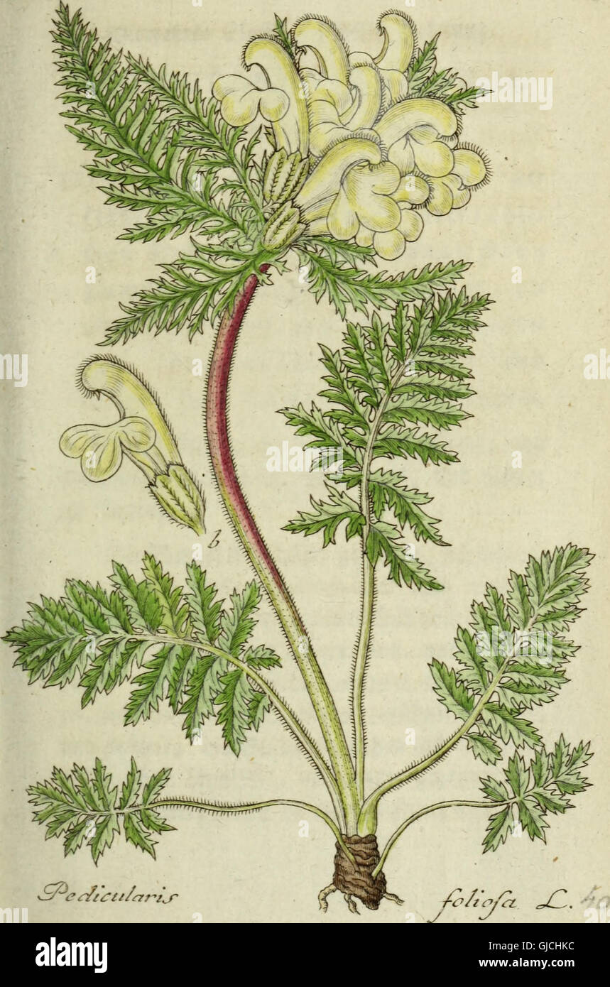 This 1806 botanical work features detailed illustrations of German ...
