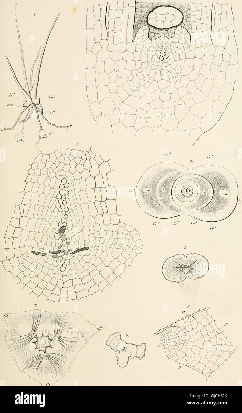 This 1862 work explores the processes of germination, development, and ...