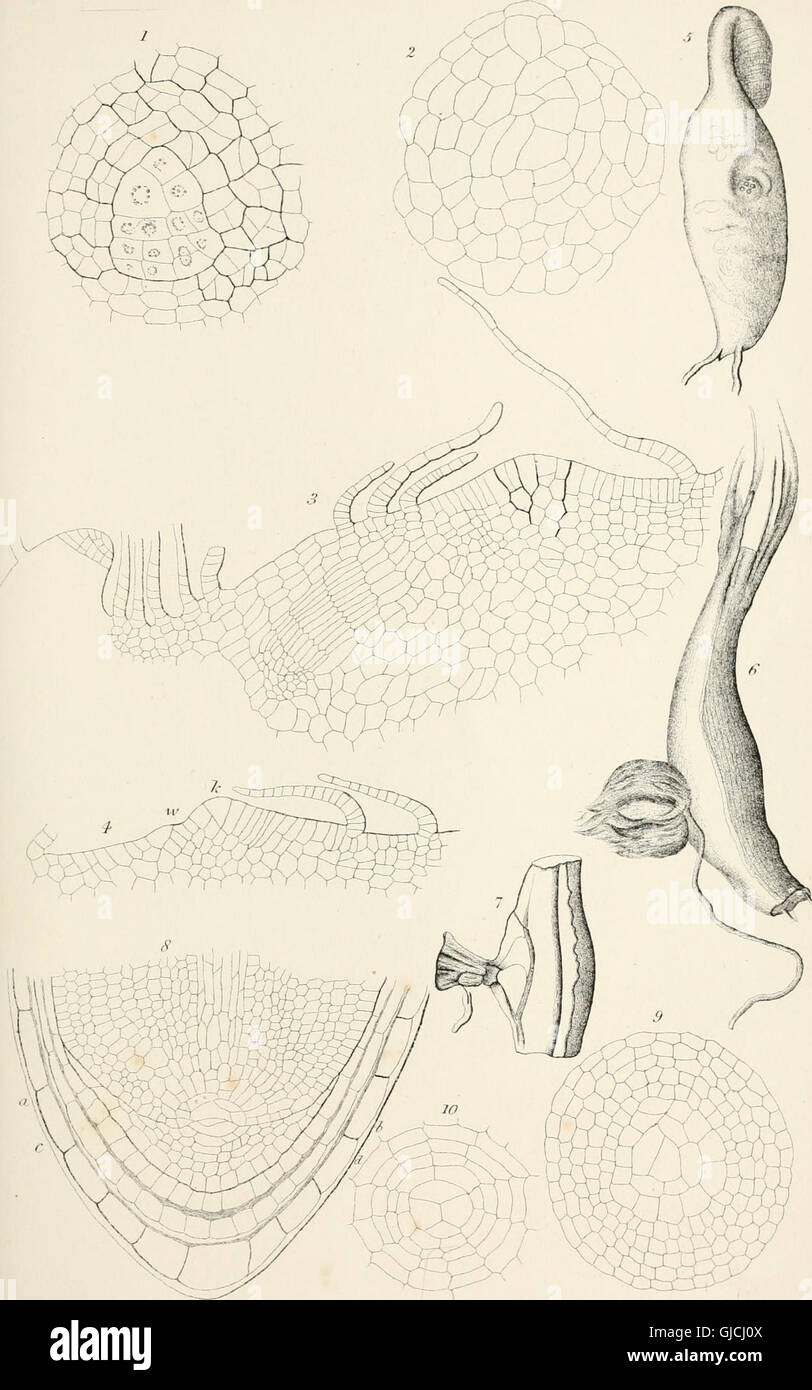 This 1862 work explores the germination, development, and reproduction ...