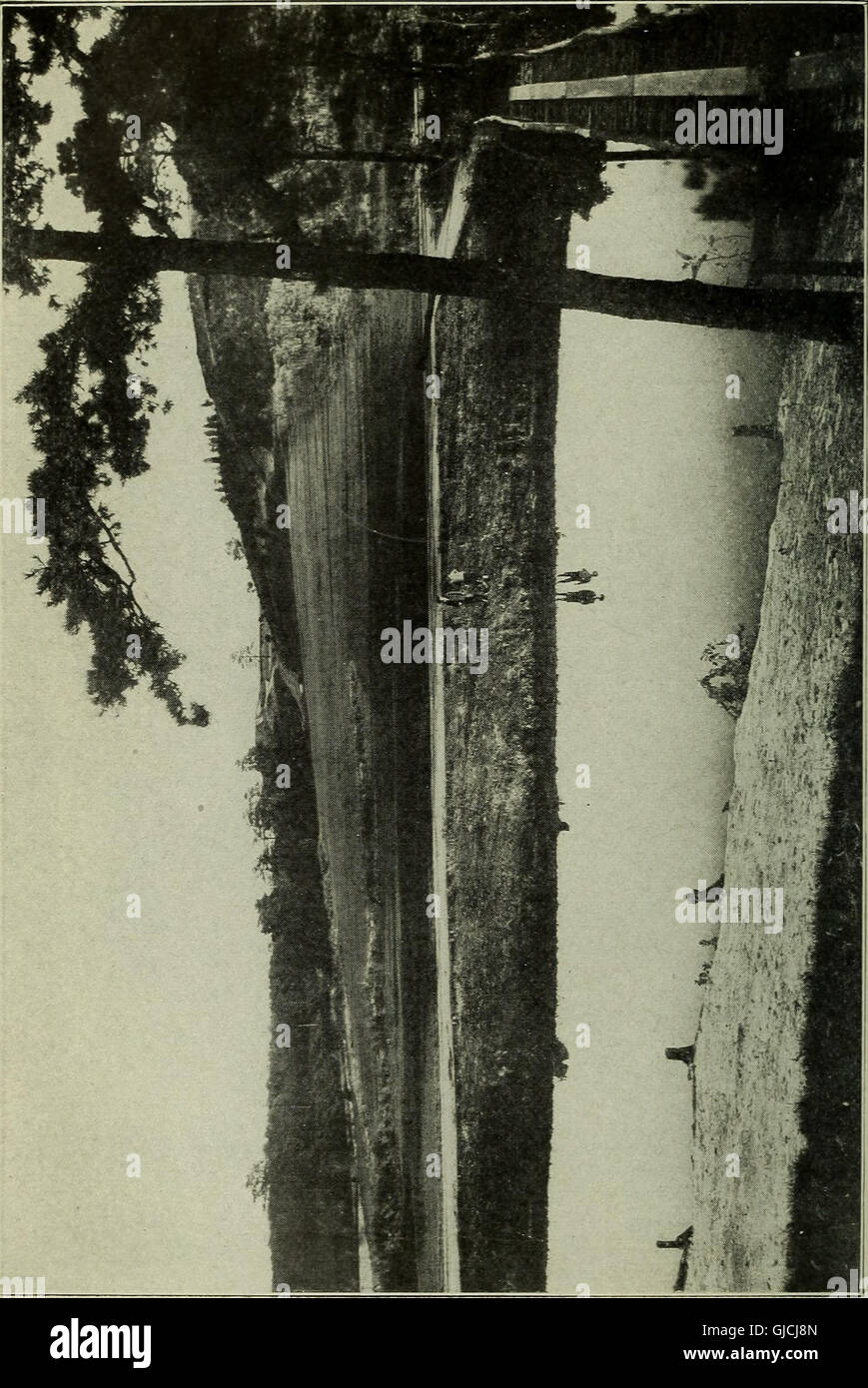 Chick Evans' Golf Book (1921) provides expert guidance on the ...