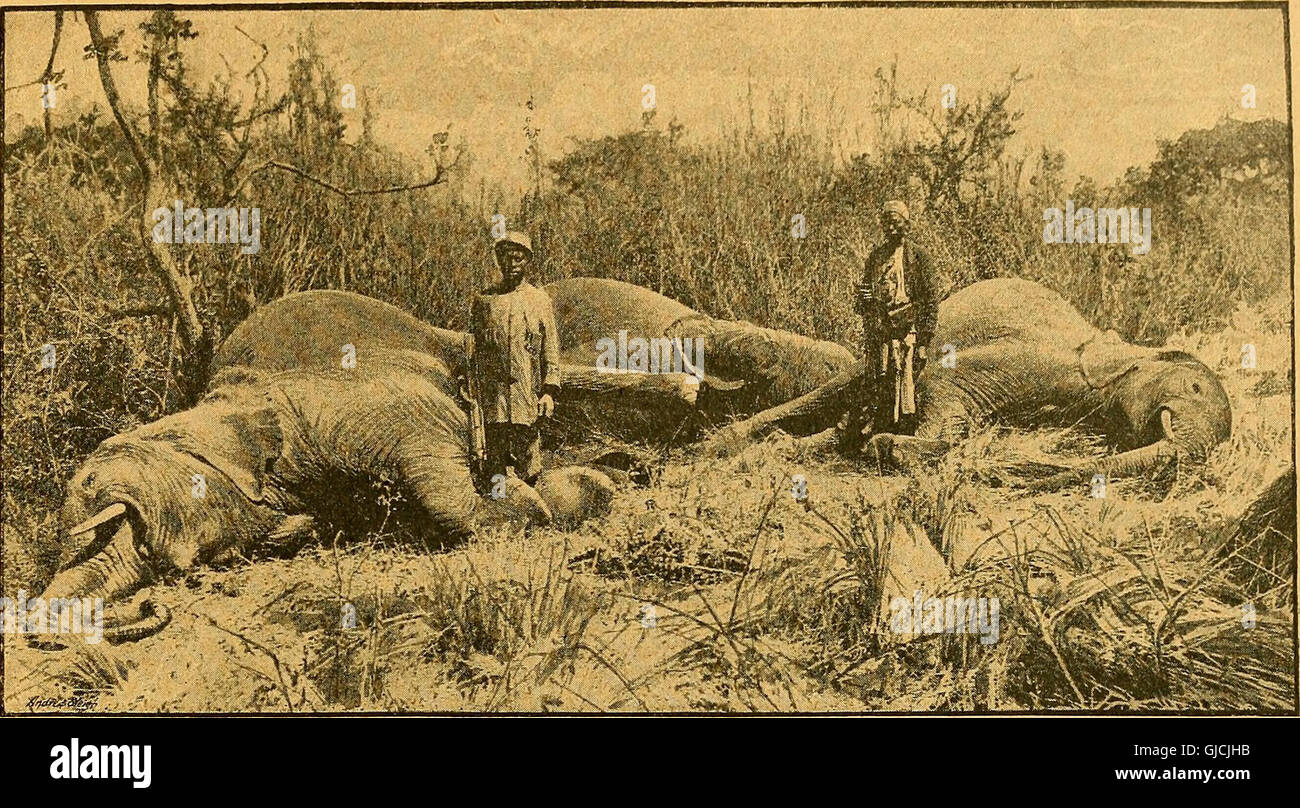 A 1892 illustration from 'The Story of Africa and its Explorers ...