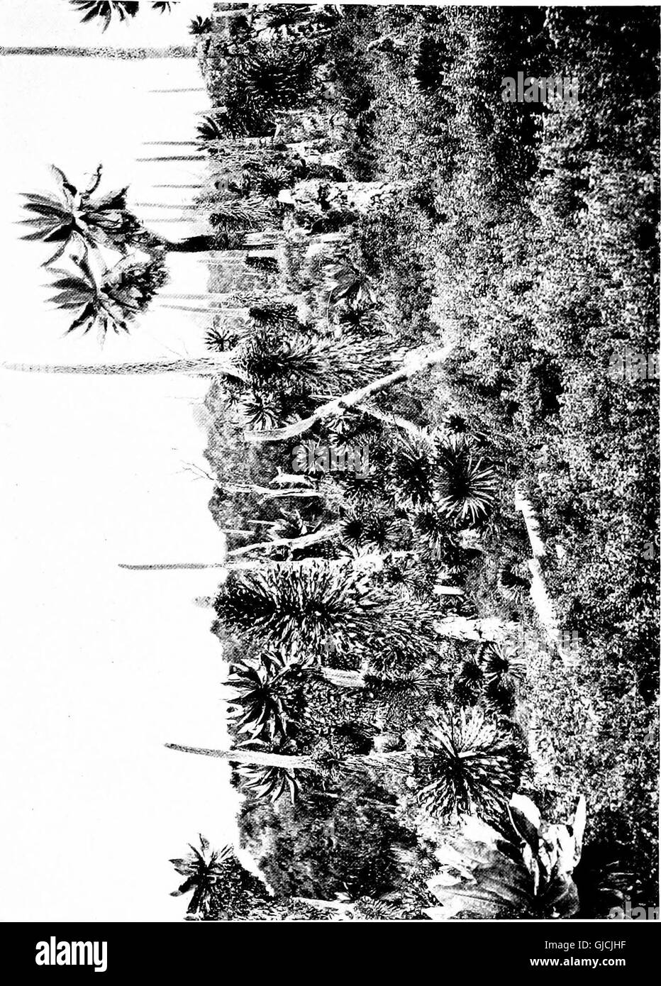 This 1922 publication highlights the wonders of the Eastern Congo ...