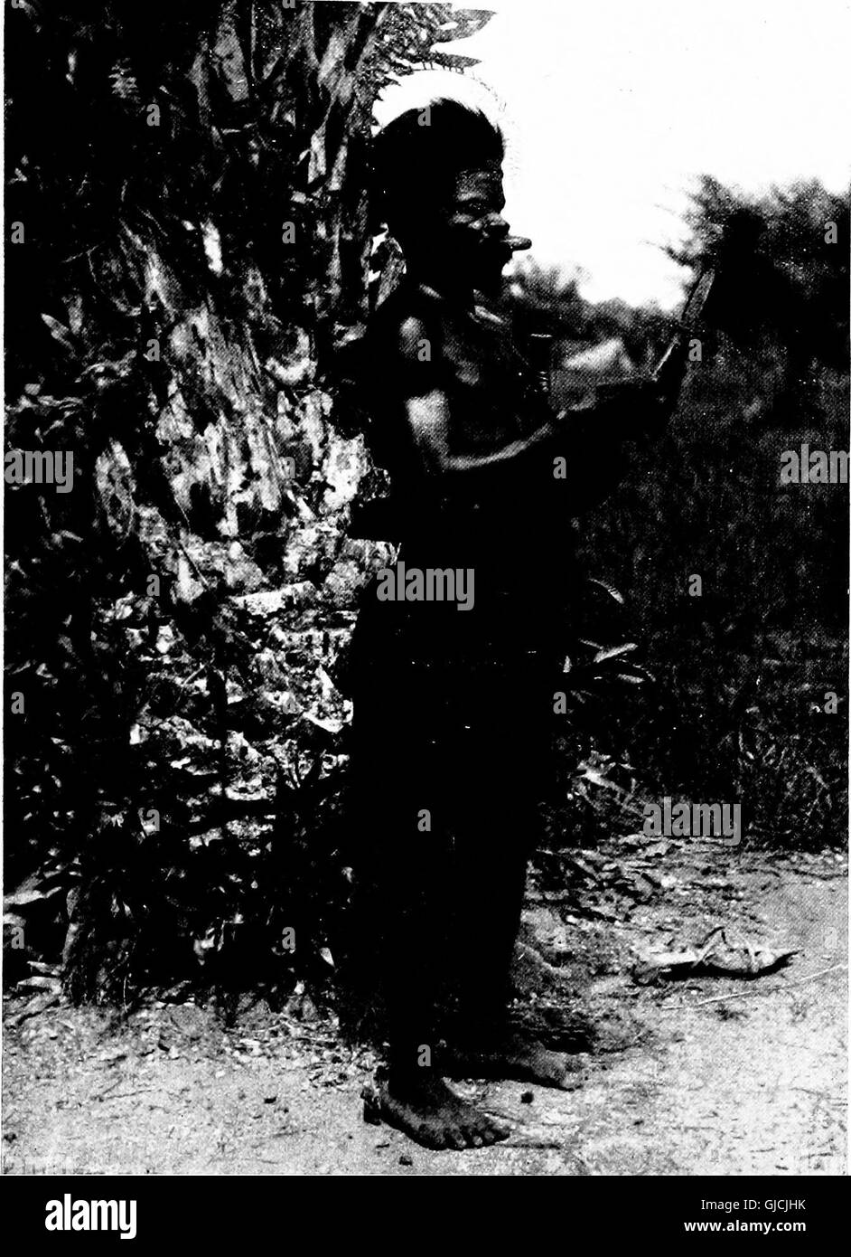 The Wonderland of the Eastern Congo (1922) describes the unique ...