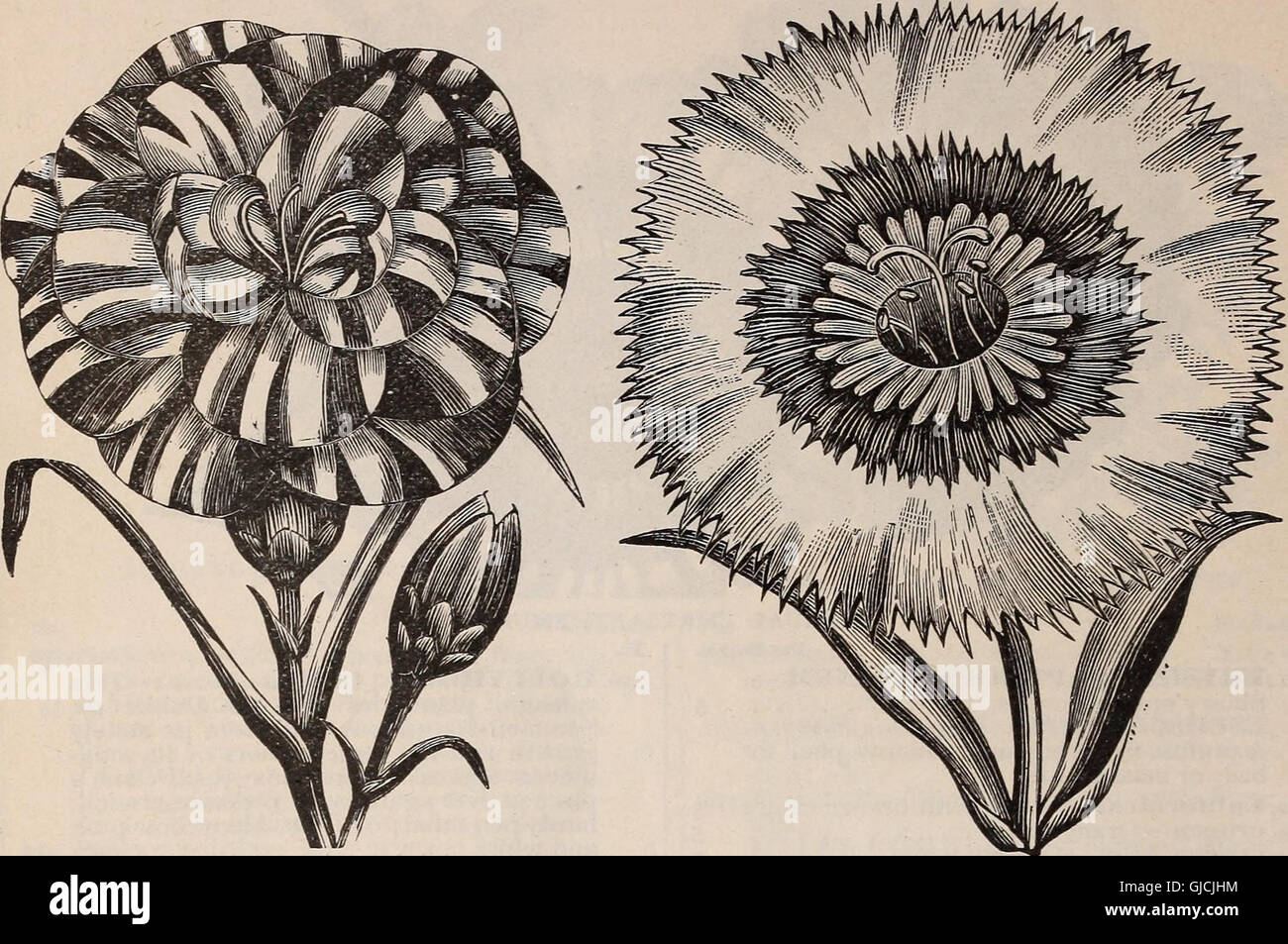 Cover of the 1895 'Buist's Garden Guide and Almanac', a gardening ...