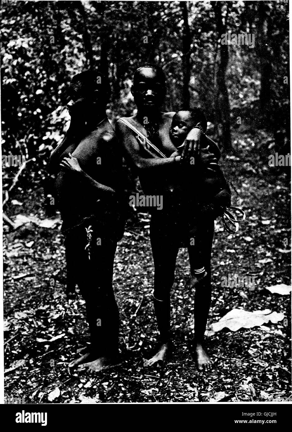 *The Wonderland of the Eastern Congo* (1922) explores the unique ...