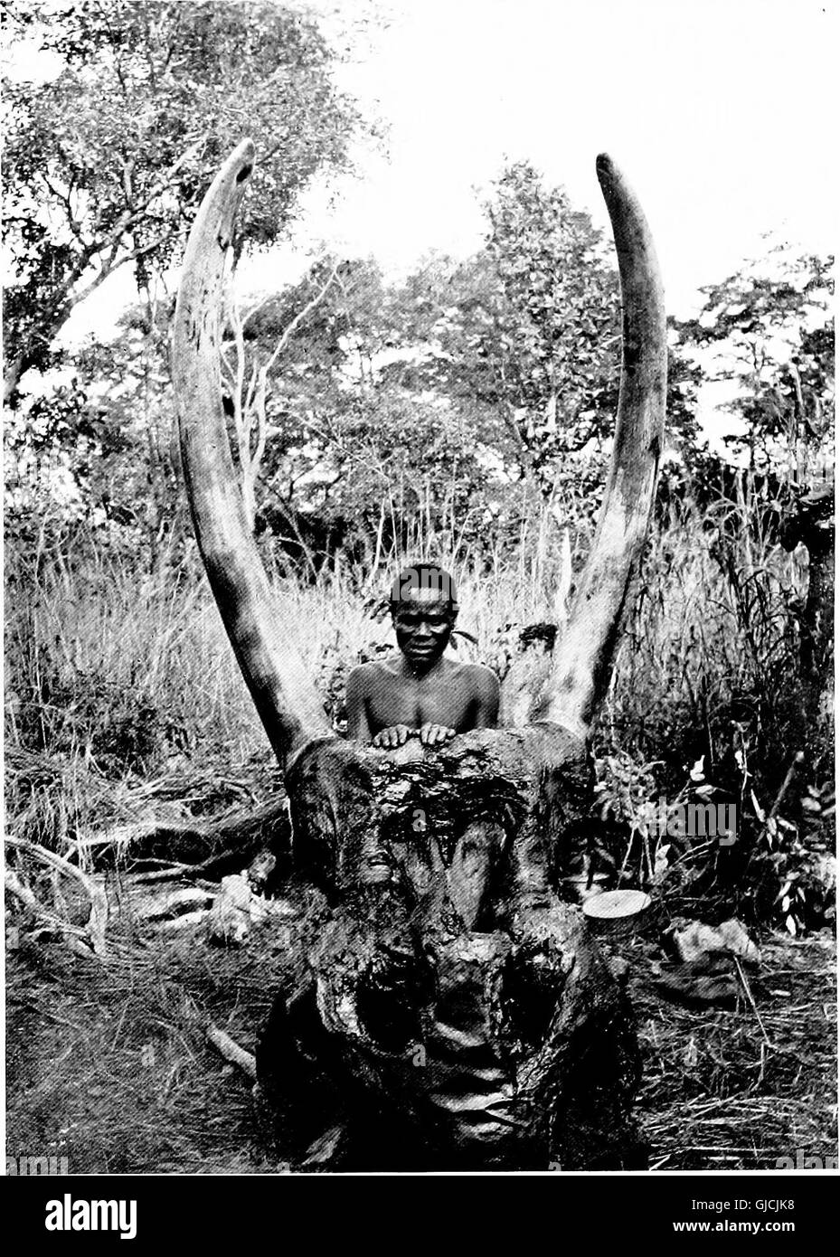This 1922 work describes the Eastern Congo region, emphasizing its ...