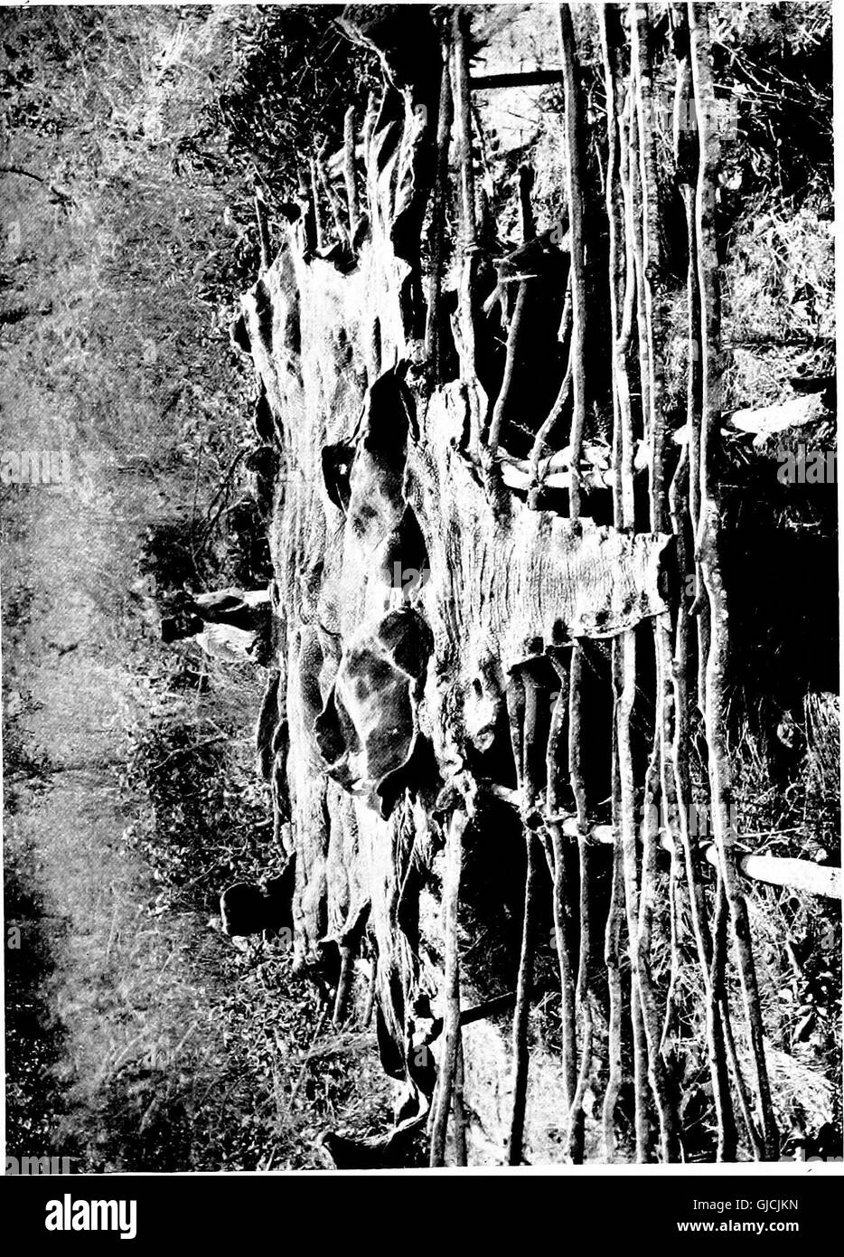 This work explores the remote and diverse landscapes of the Eastern ...