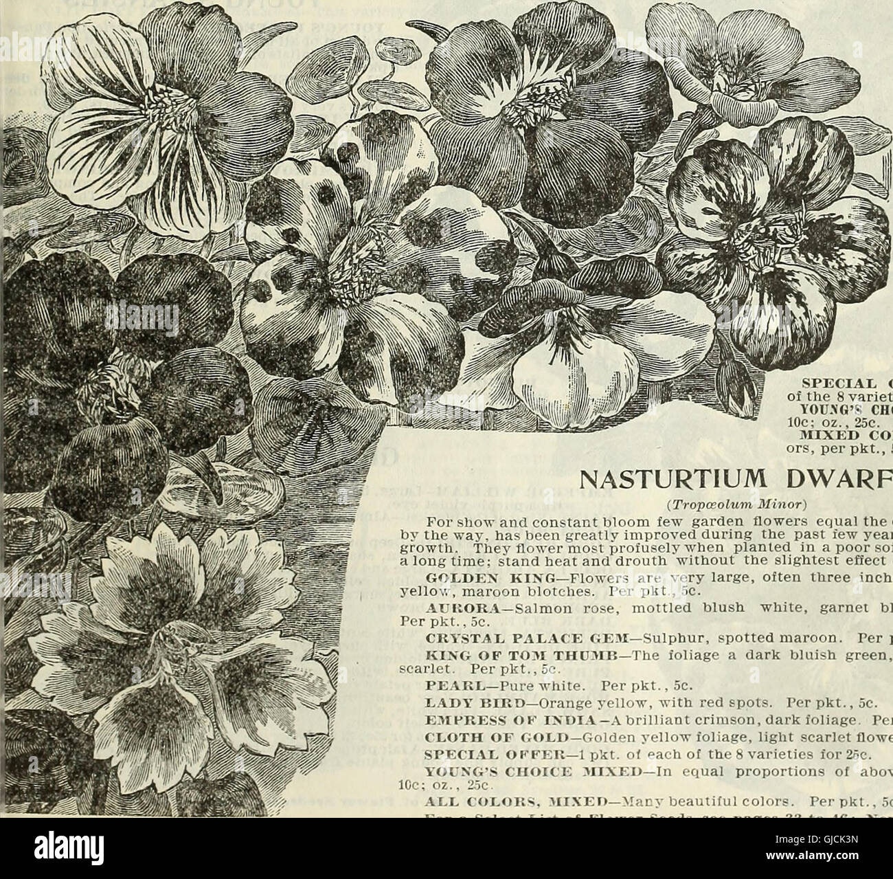 1900 spring catalogue hi-res stock photography and images - Alamy