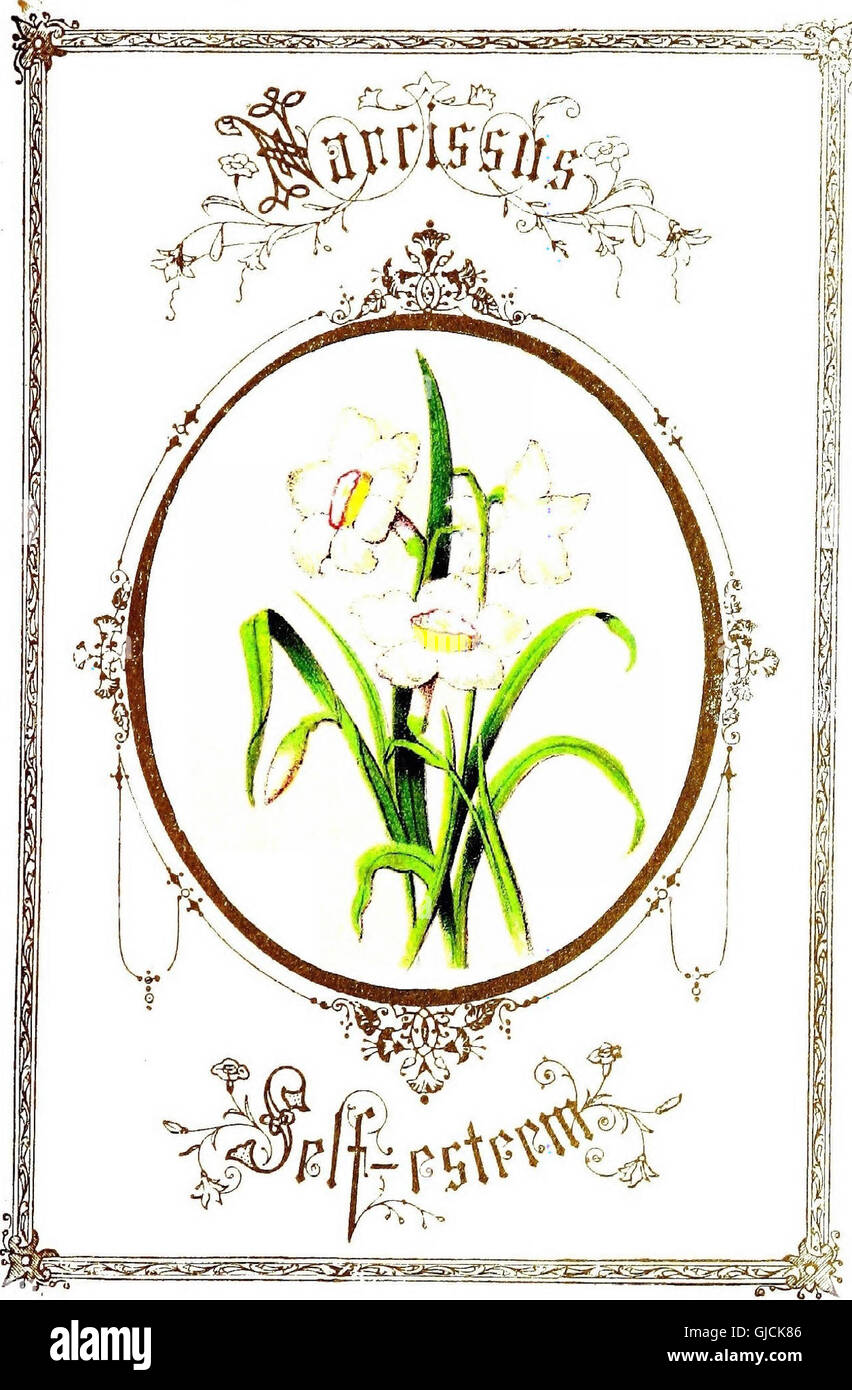 'Garden Flowers' (1857) showcases a collection of illustrations and ...