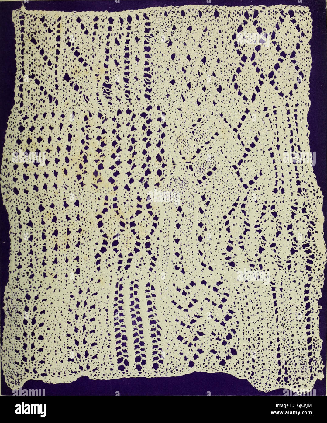 This comprehensive guide covers a wide range of needlework techniques ...