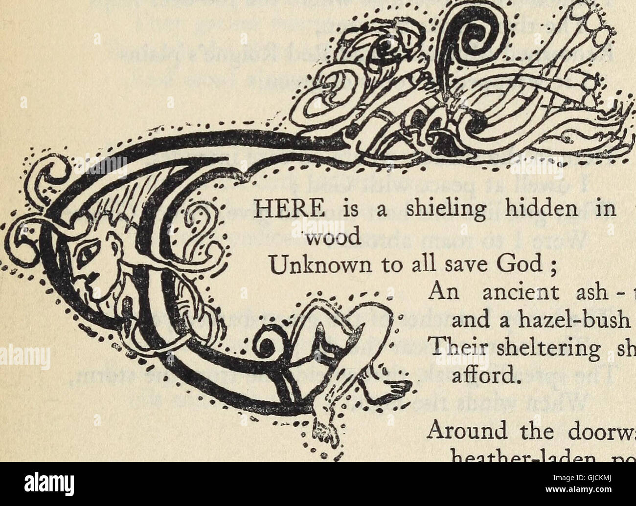 This book offers translations of Irish Gaelic poetry into English ...