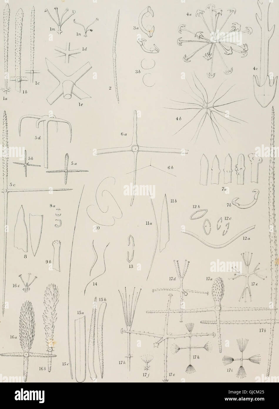 This 1920 report details the scientific findings from the S.Y. 'Scotia ...