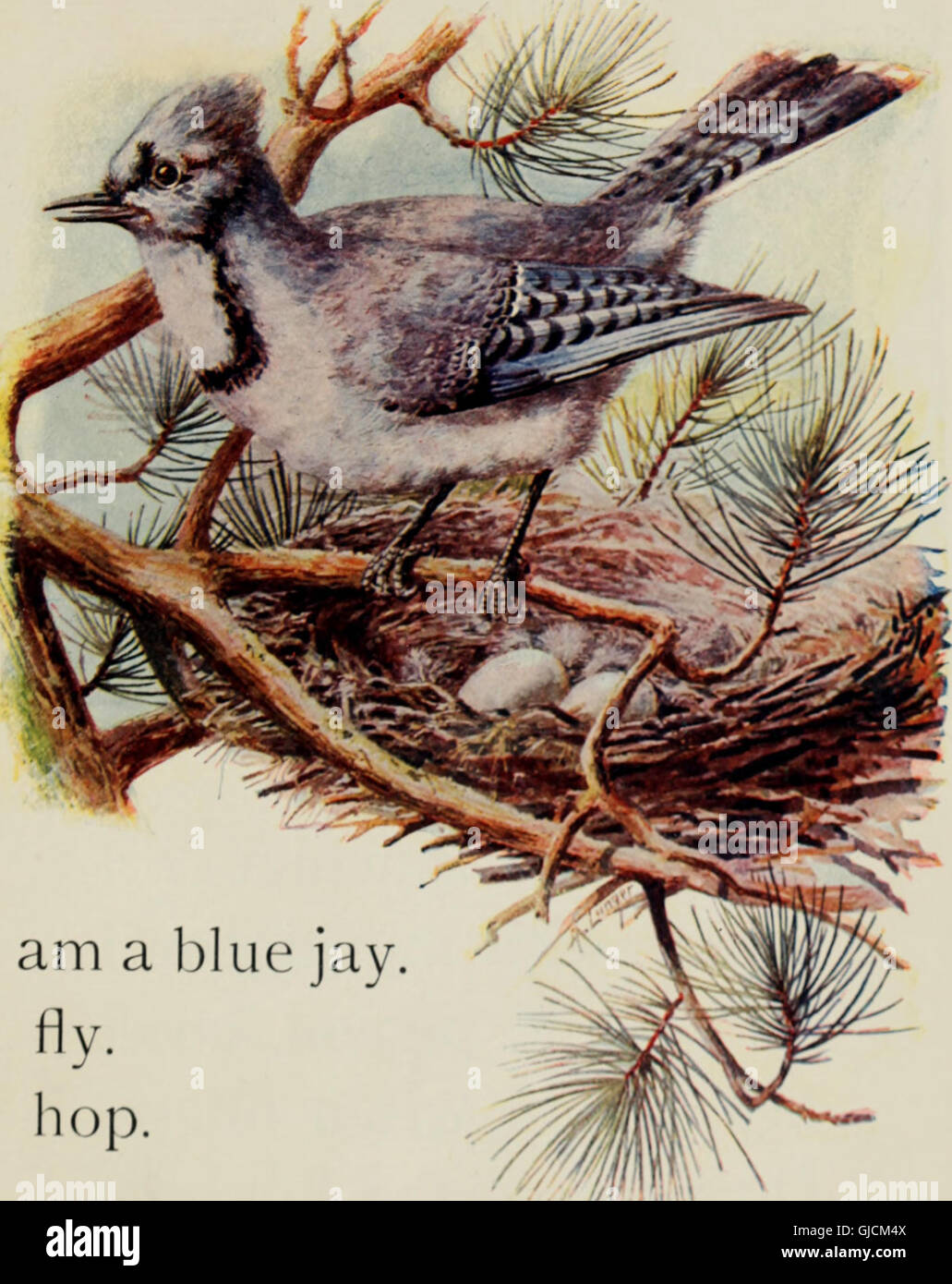 The Brooks Primer, published in 1906, is an educational book designed ...