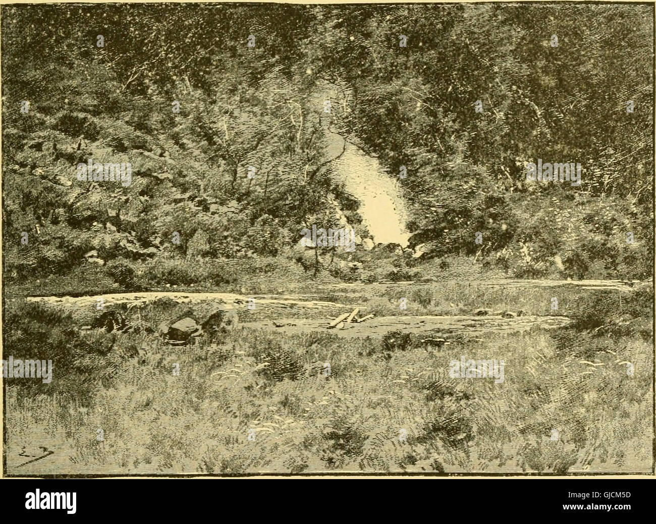 'The Earth and Its Inhabitants' (1891) offers a comprehensive ...