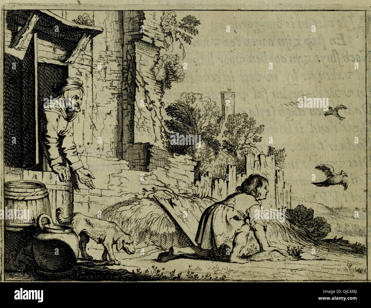 Ian van der Veens Zinne-beelden oft Adams appel (1642 Stock Photo - Alamy