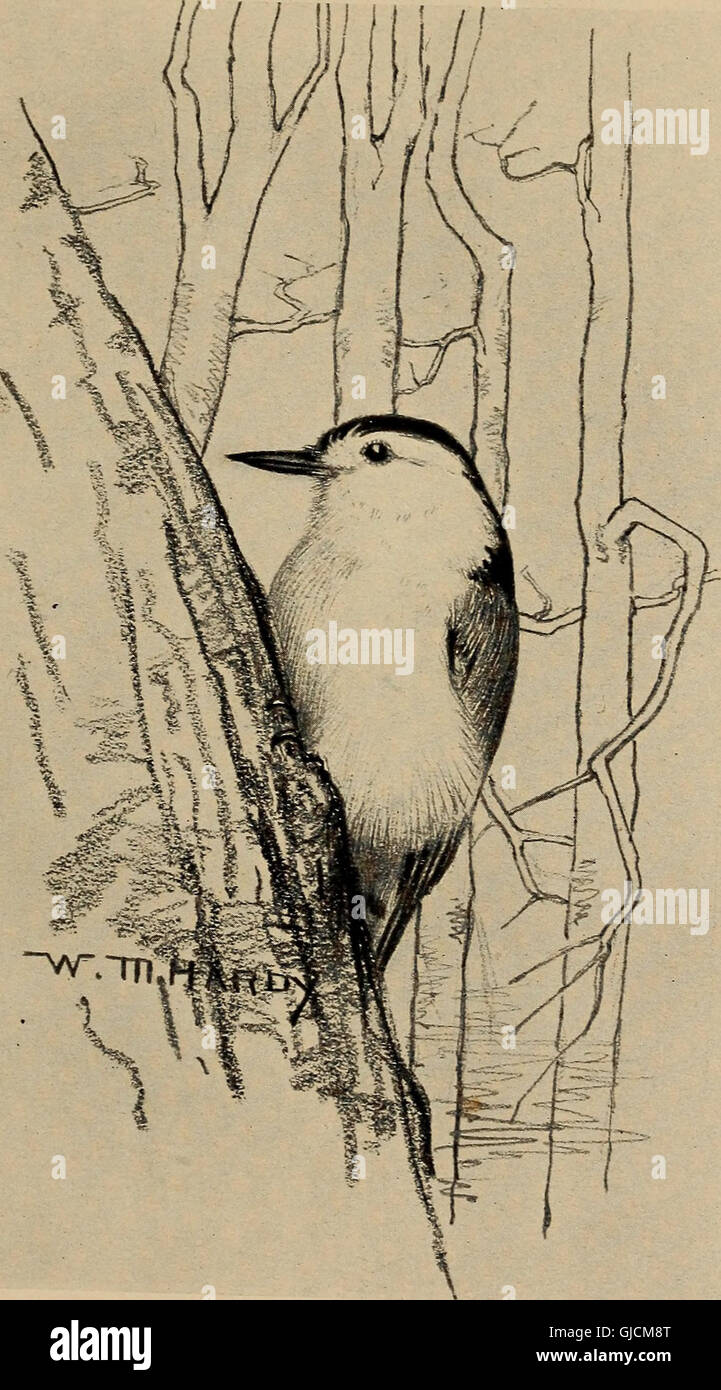 A poetry collection from 1900, celebrating the natural world through ...