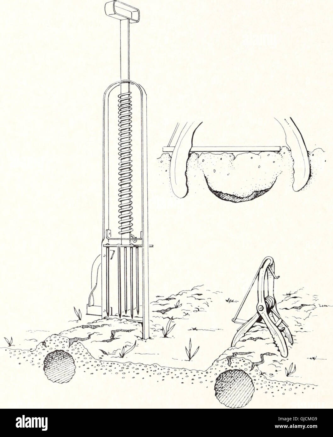 Control of field rodents on California farms (1965 Stock Photo - Alamy
