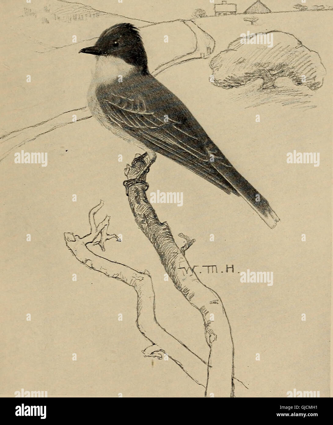 'Through the Year with Birds and Poets' (1900) combines poetry with ...