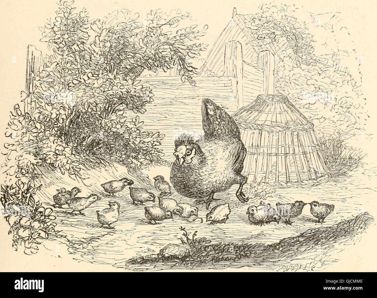 'Picture Fables' (1858) presents a collection of illustrated fables ...