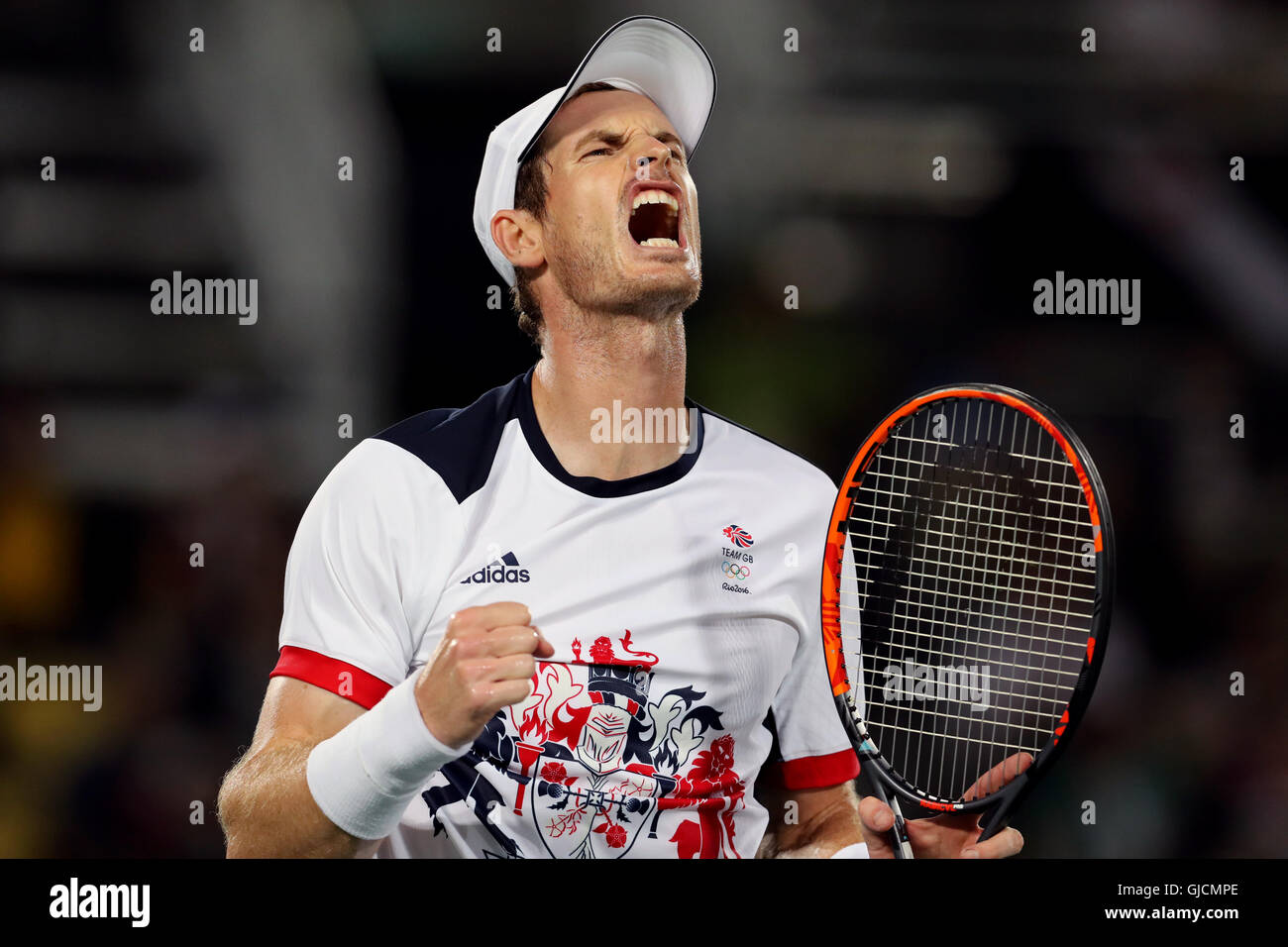 Great Britain's Andy Murray takes on Argentina's Juan Mart"­n del Potro ...