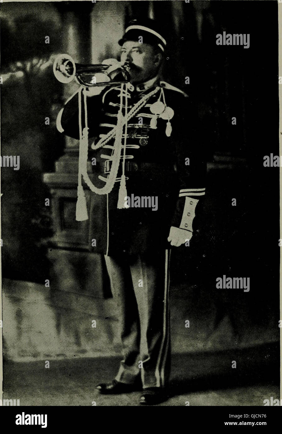 The 1913 publication provides a detailed genealogy of the Preston ...