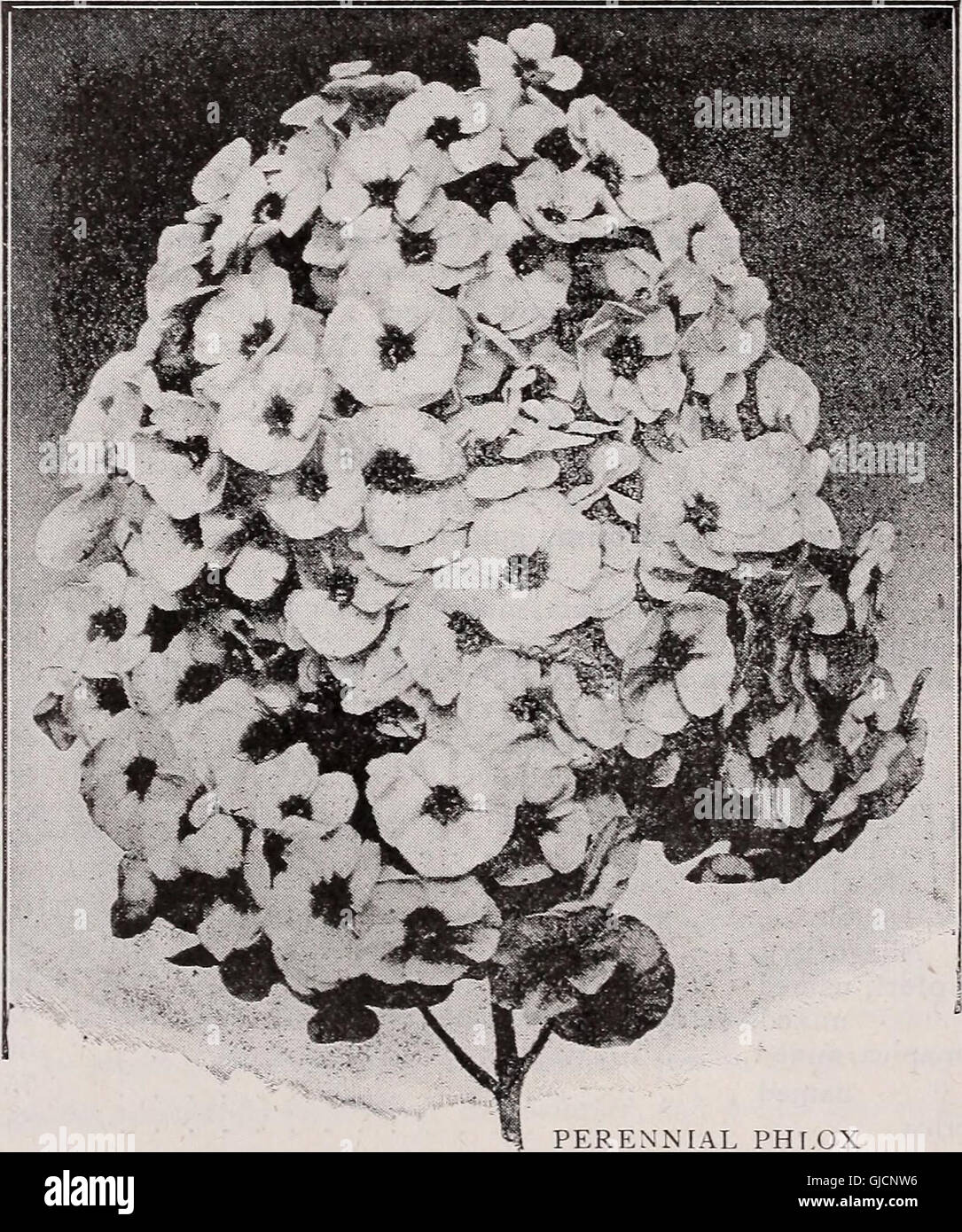 The *Vick's Wholesale Price List* (1918) includes a catalog of products ...