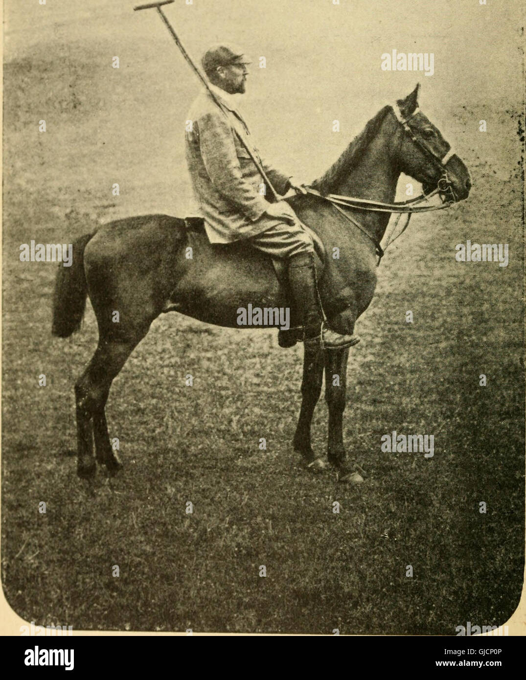 Making harnesses hi-res stock photography and images - Alamy