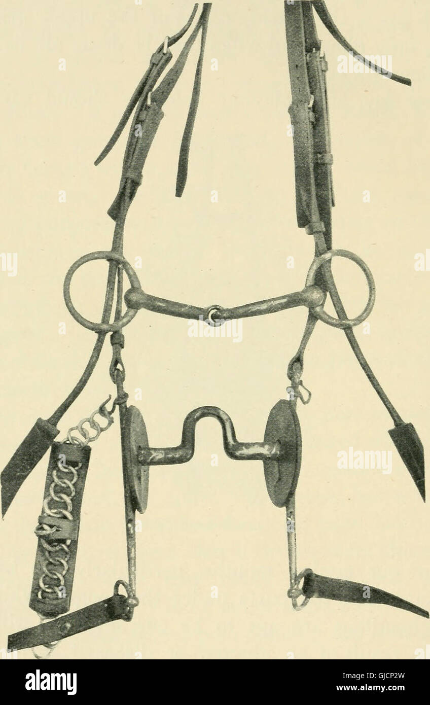 A 1902 text outlining the rules, history, and development of polo ...