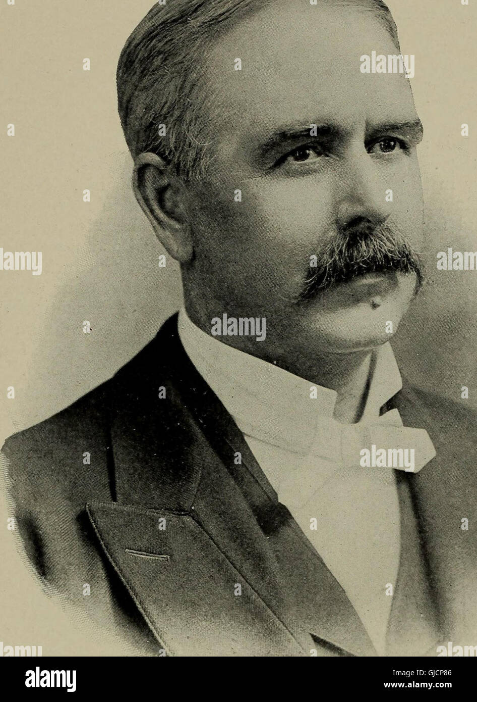 This history of Illinois Republicanism outlines the development of the ...