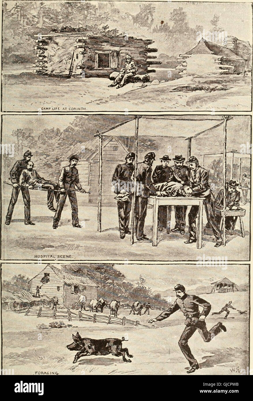 'The Volunteer Soldier of America' (1887) describes the roles and ...
