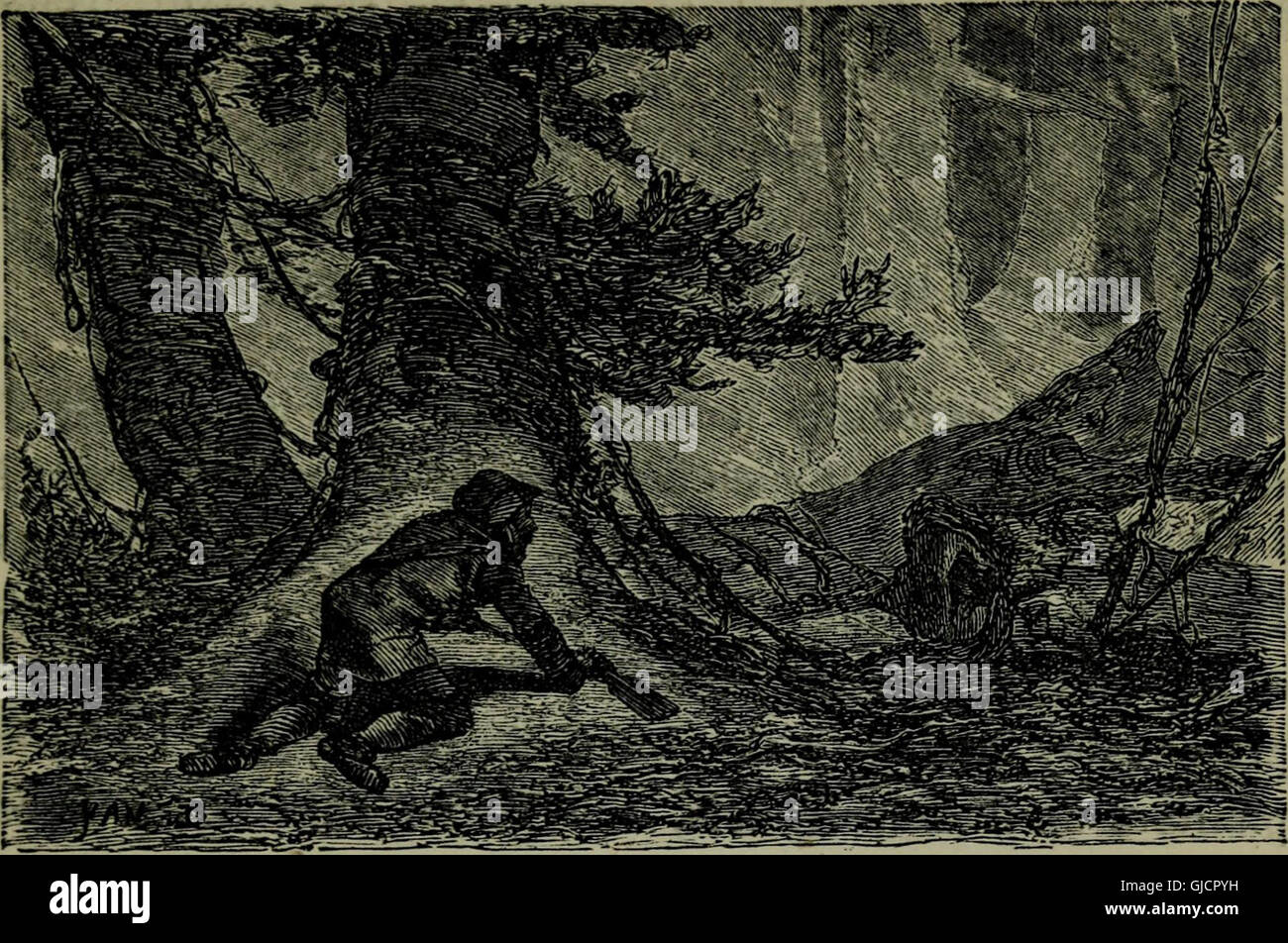 The Hunter and the Trapper in North America (1875) is a narrative of ...