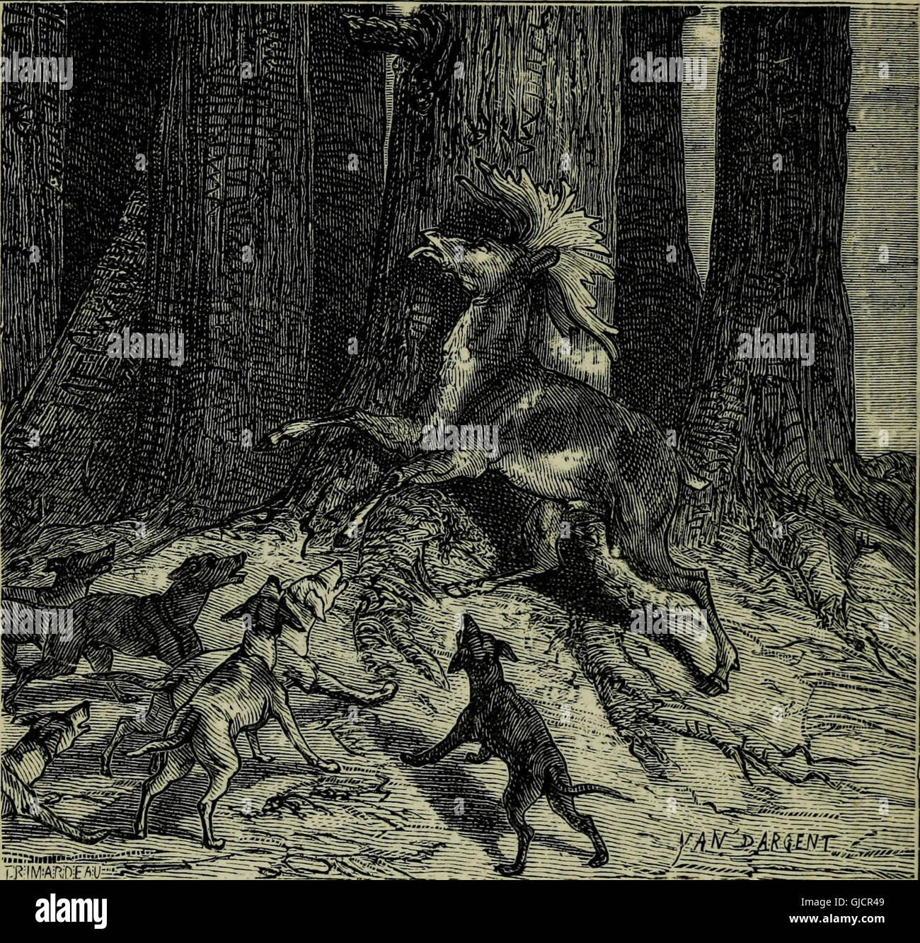 This photograph captures the essence of the adventurous life of hunters ...
