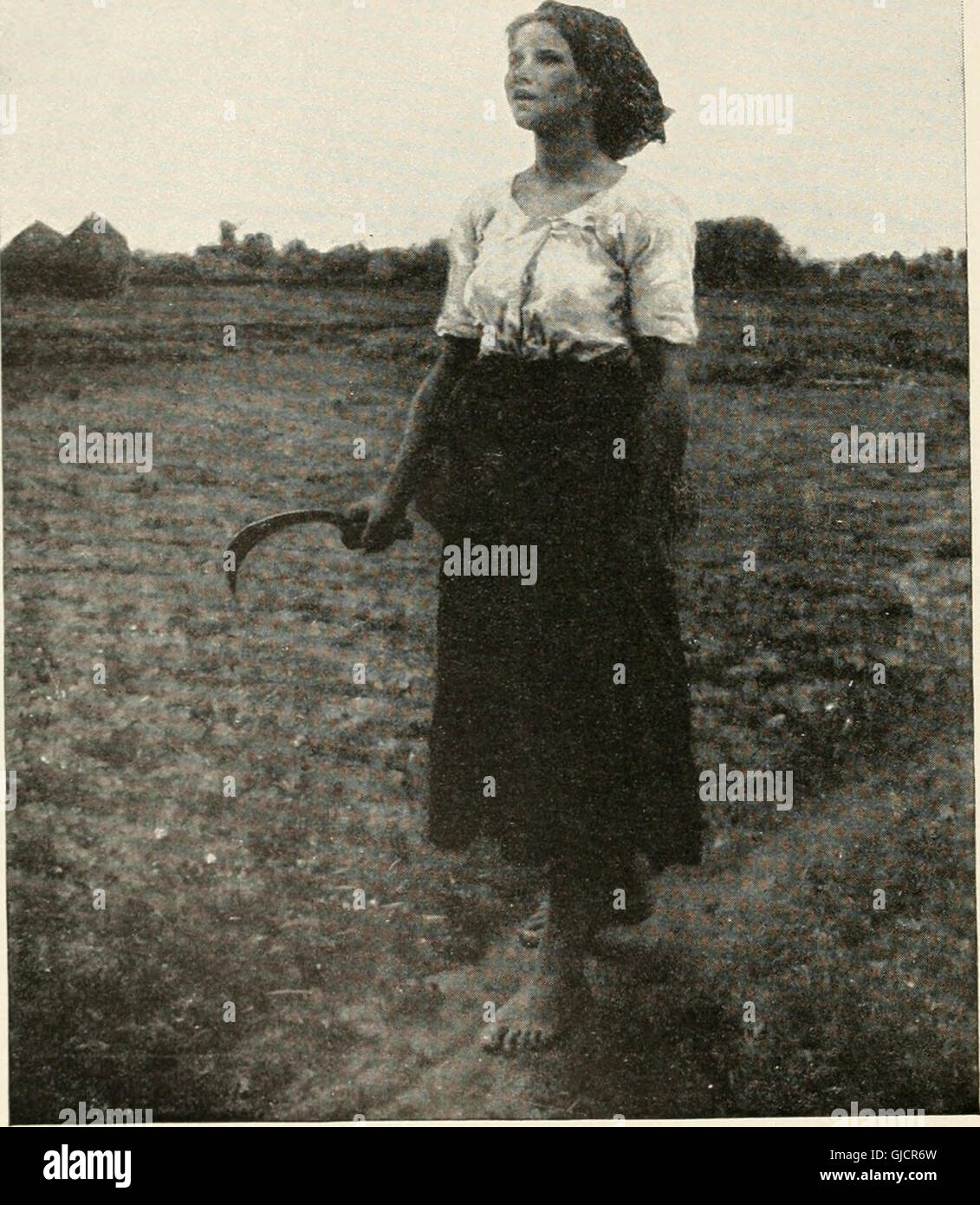 A genealogy record documenting the Field family's American ancestry ...