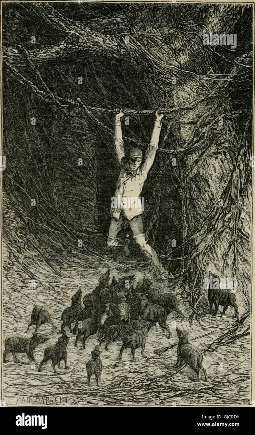 'The Hunter and the Trapper in North America' (1874) explores the lives ...