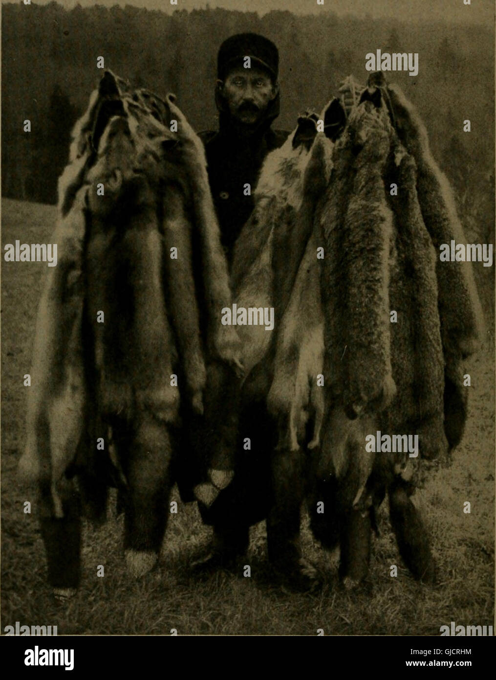 This guide illustrates various fur-bearing animals of North America ...