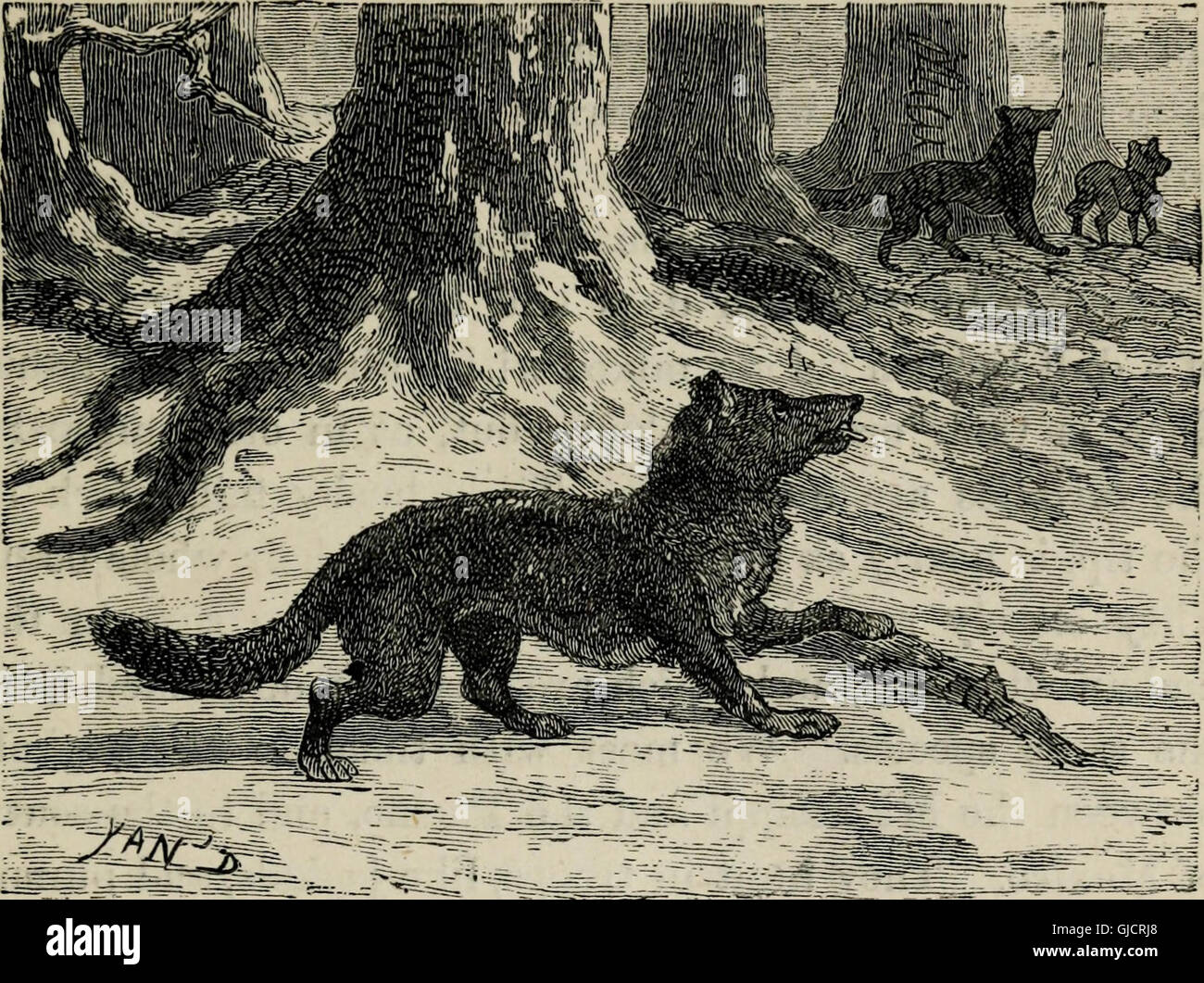 This 1875 work, translated from French, chronicles the adventures of ...