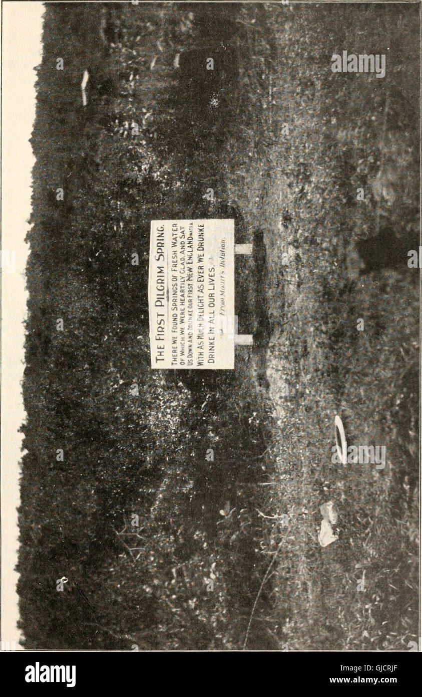 'The Tucker Genealogy' (1901) traces the family history of Gilbert ...