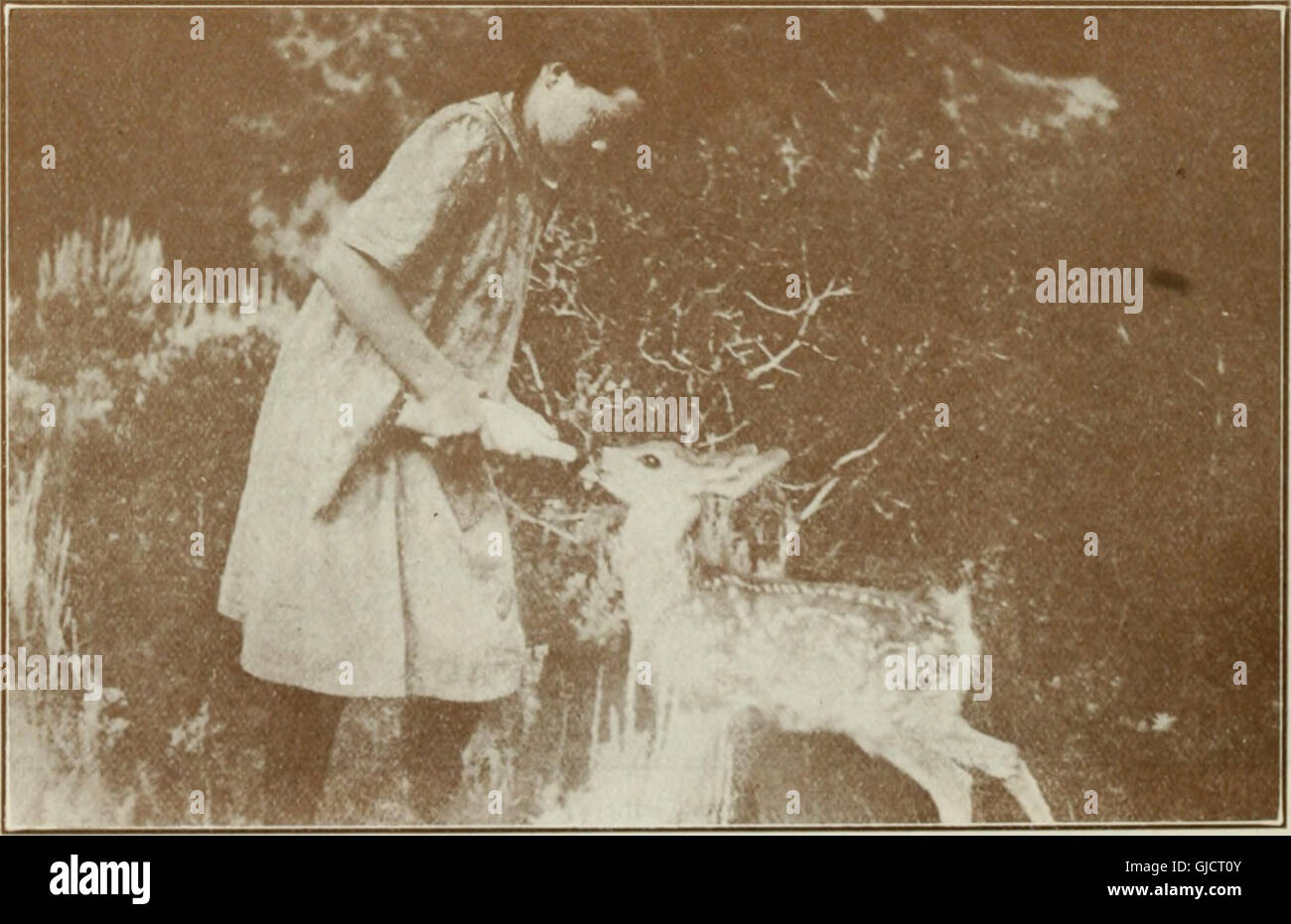 The 1917 Biennial Report of the Montana Game and Fish Commission ...