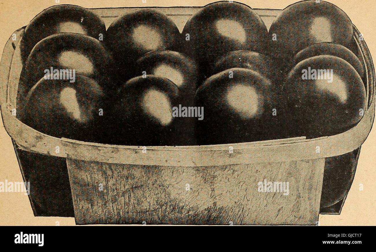 The 1926 Bolgiano of Baltimore Garden Guide offers expert advice on ...