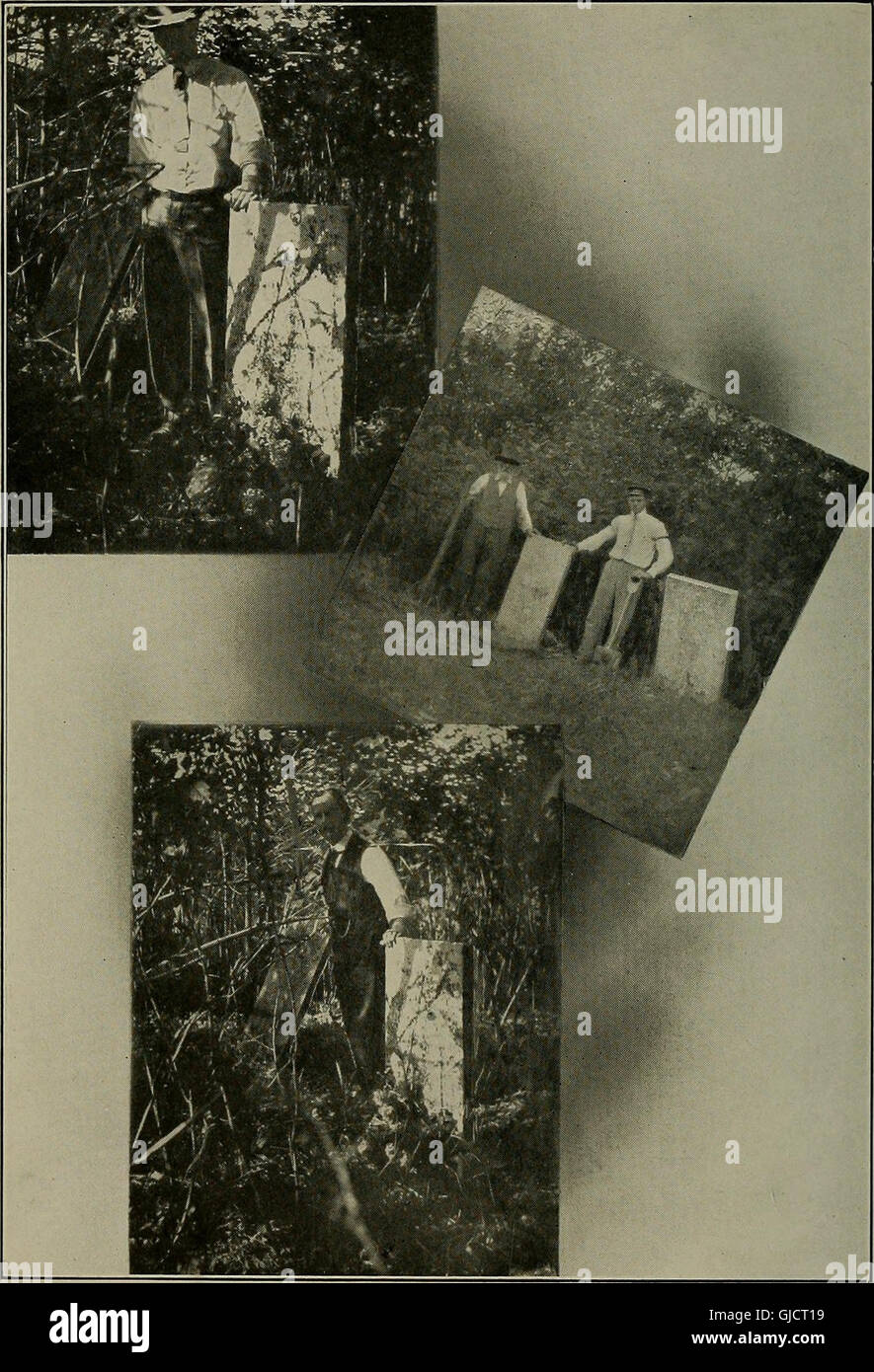 *Thomas Solley and His Descendants* (1911) traces the genealogy of ...