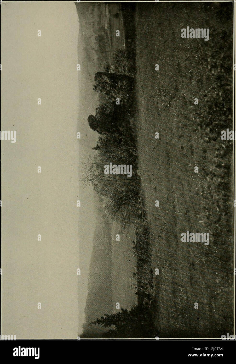 'Thomas Solley and His Descendants' (1911) traces the genealogy and ...