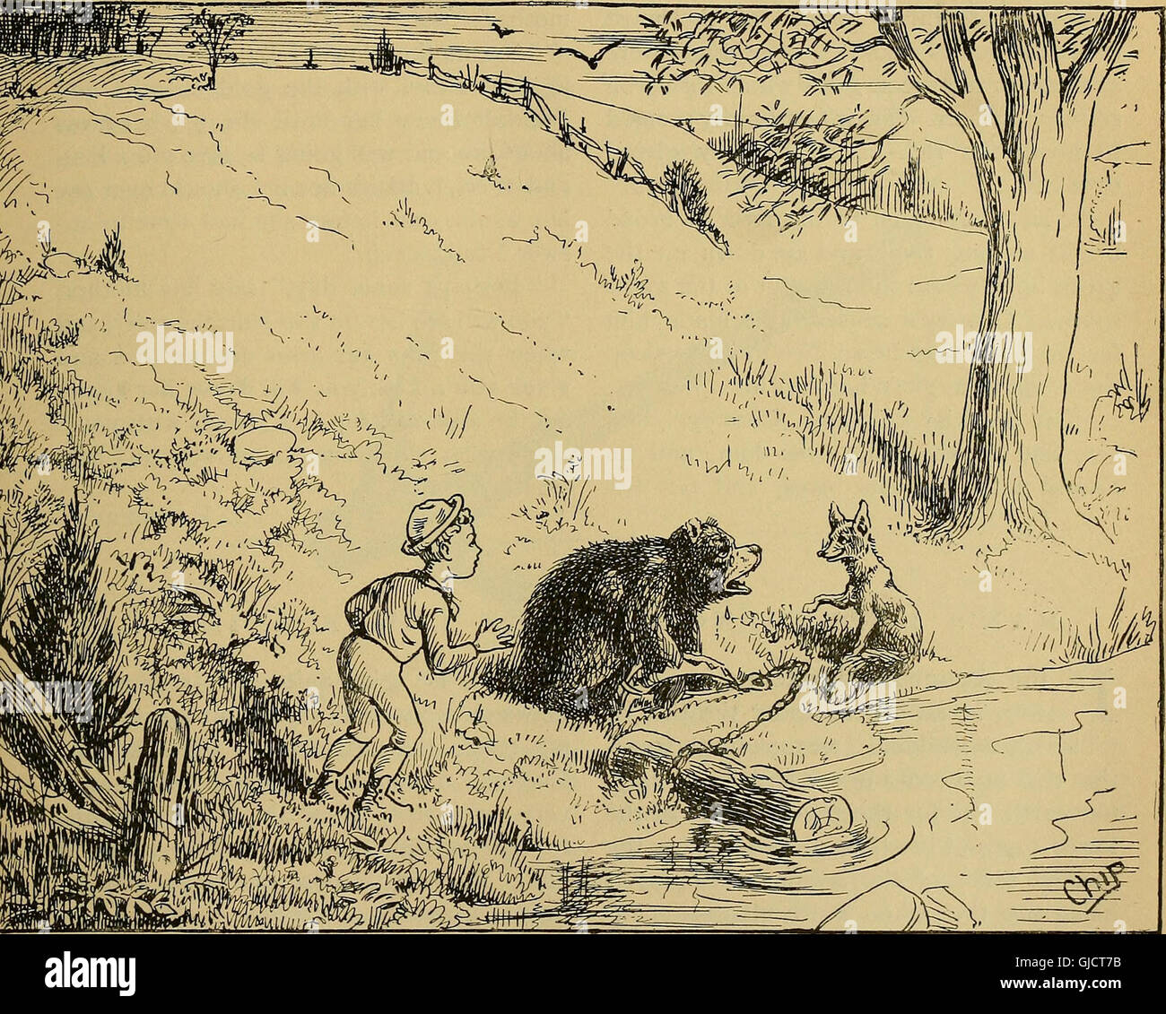 *The Audubon Magazine* (1887) features content on natural history ...