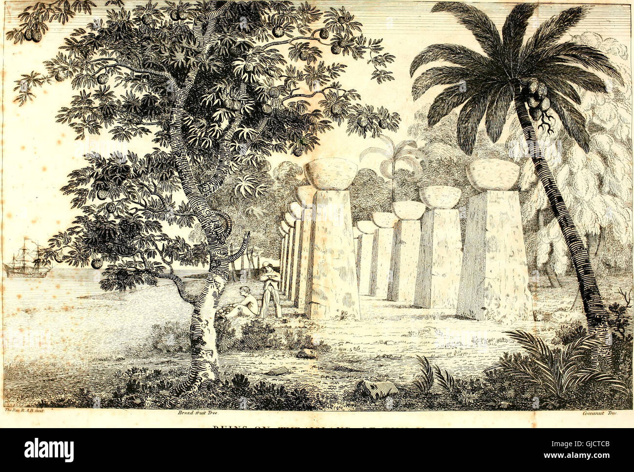 This work provides a chronological account of key discoveries in the ...