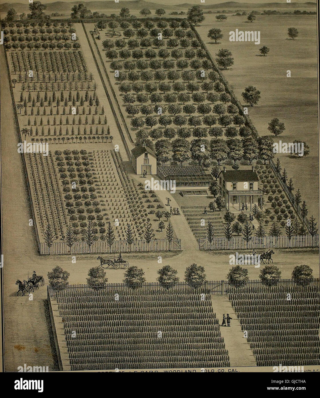 This illustrated atlas provides a comprehensive history of California ...