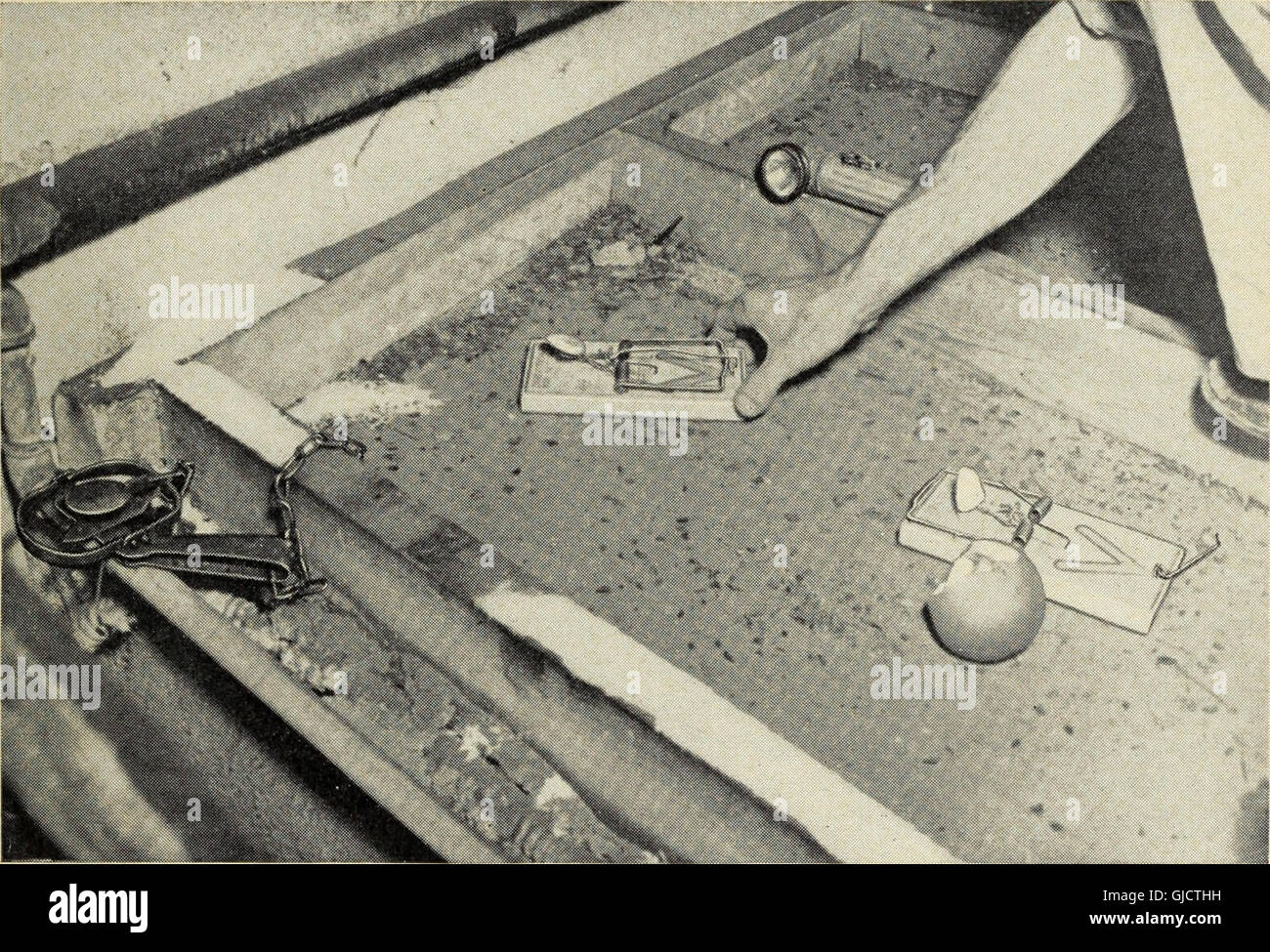 This 1952 guide provides practical methods for controlling rat and ...