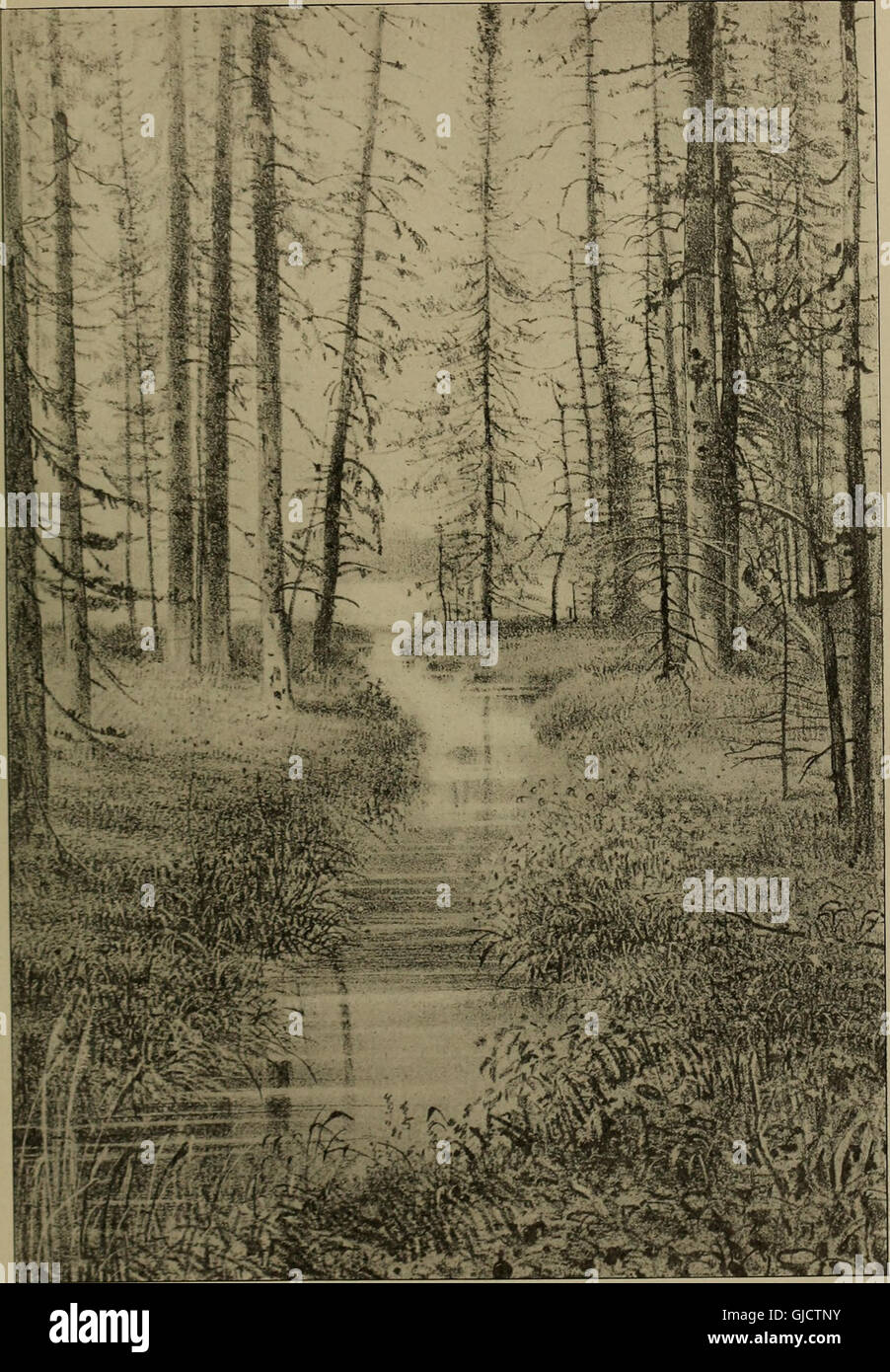 The 1903 annual report documenting a year's worth of activities ...
