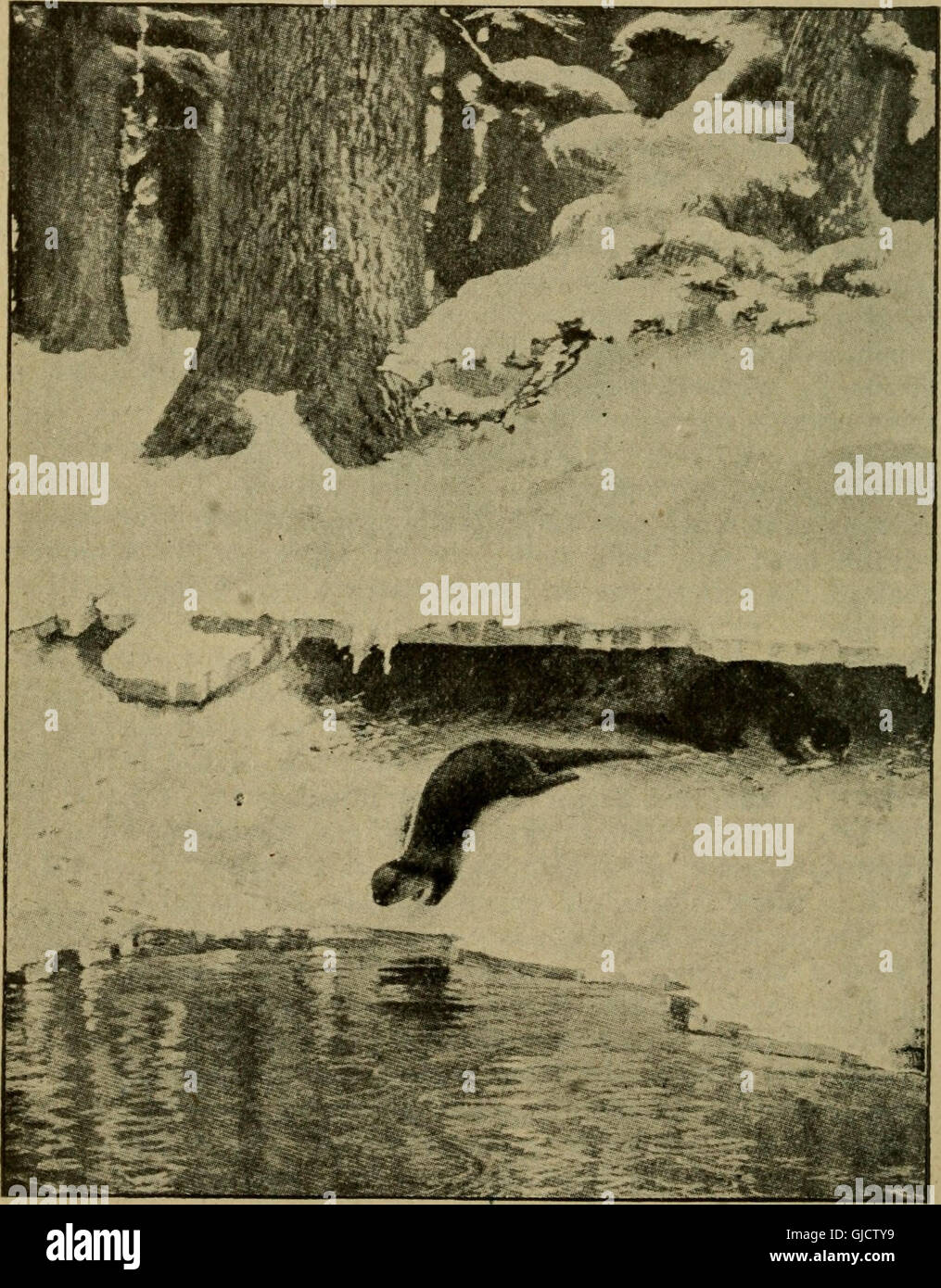 Buzzacott's Masterpiece (1913) showcases the artistic achievements of ...
