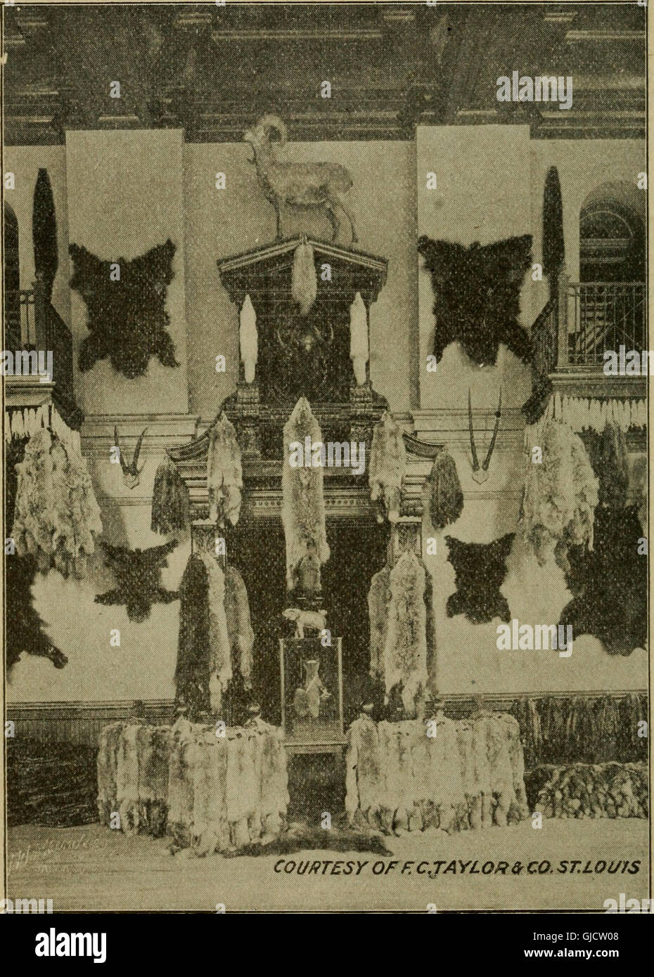 'Buzzacott's Masterpiece' (1913) discusses the work of artist Buzzacott ...