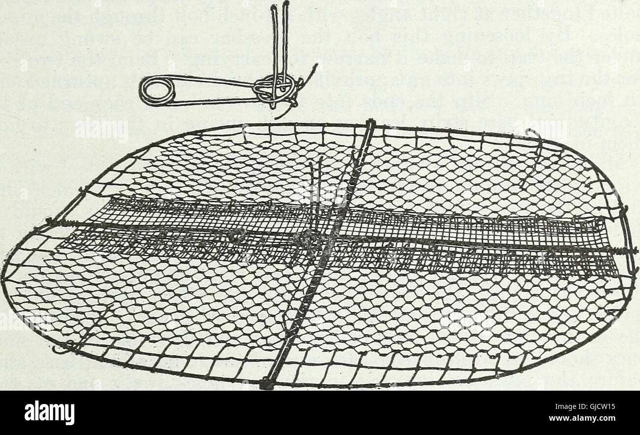 This 1078 text discusses the habits of beavers, methods of controlling ...