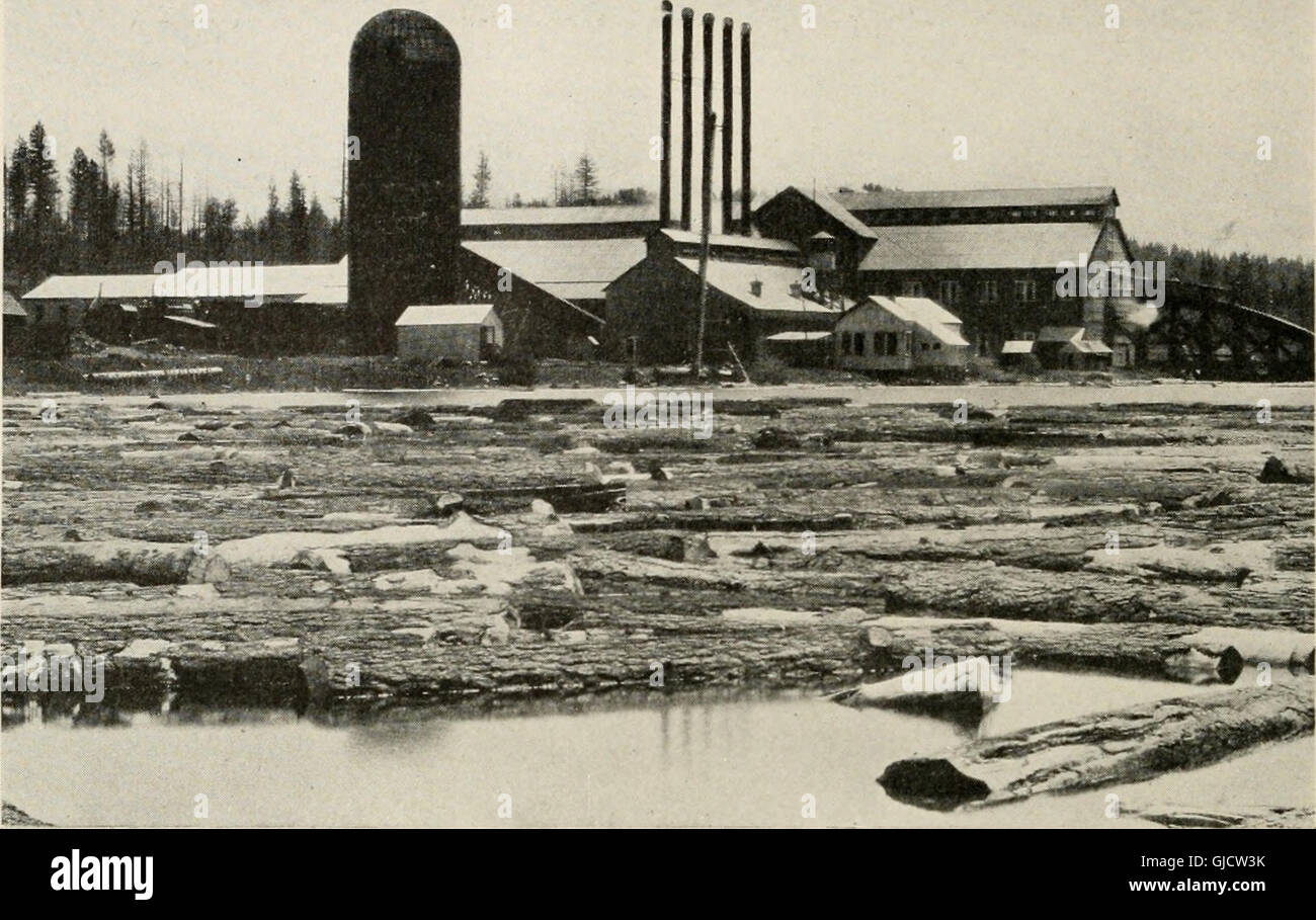 'American Forestry' (1910-1923) covers the development of forest ...